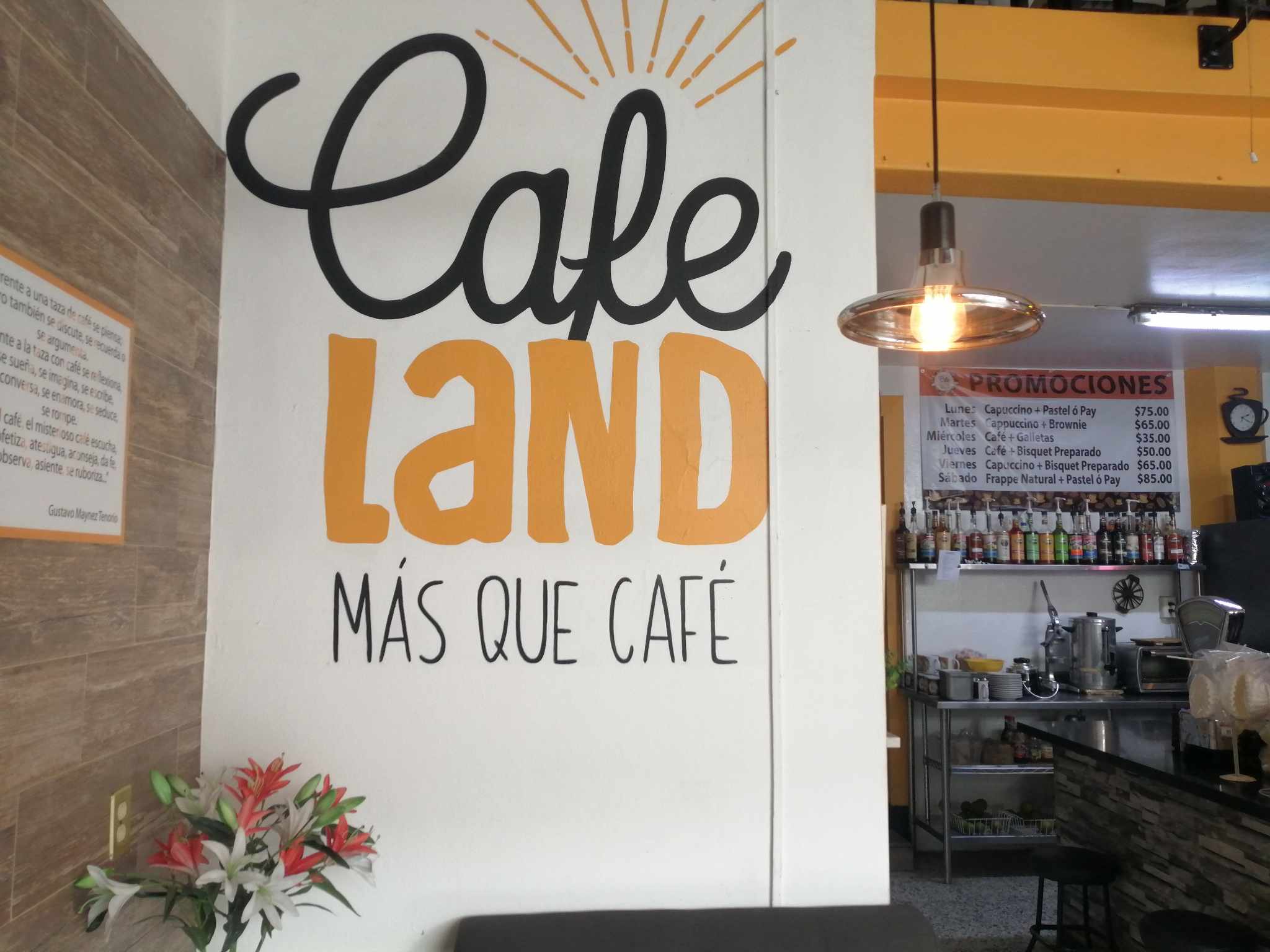 Café Land, más que café - Revista101